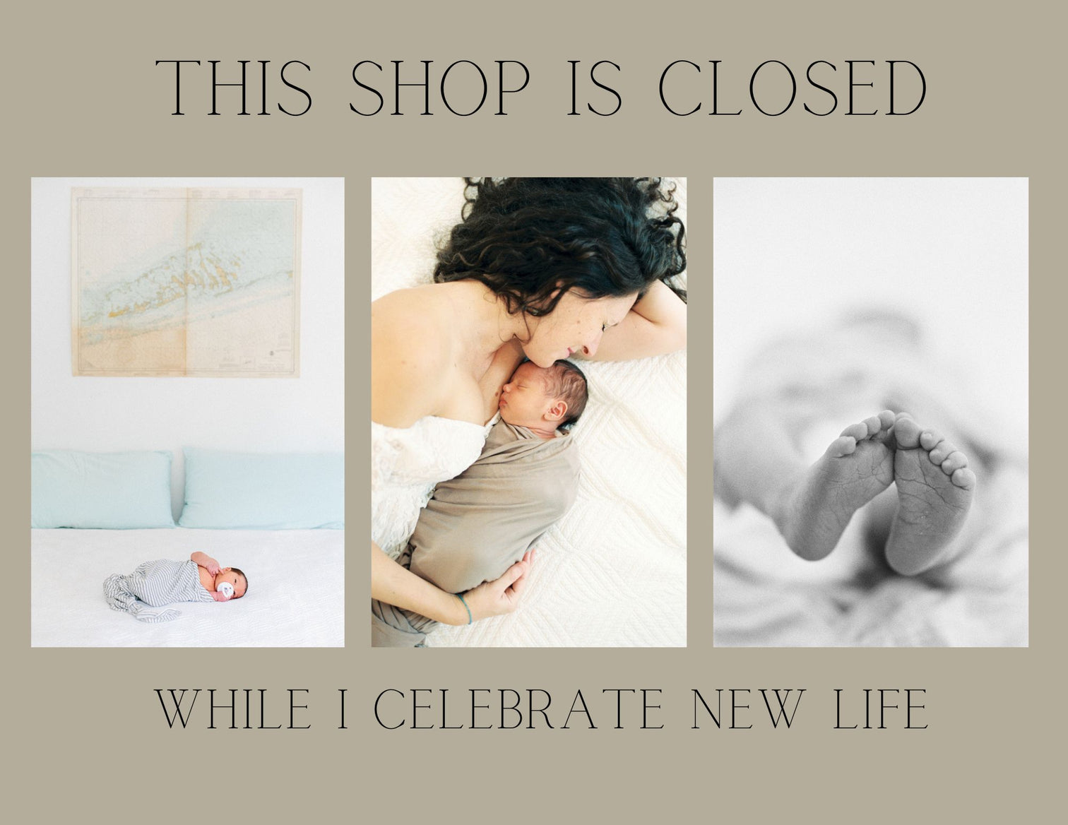 Andrea Naylor - Art Painter Door County Wisconsin